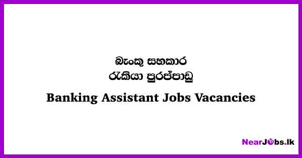Senior Banking Assistant Job Vacancies in Malabe - DFCC Bank Jobs 2024