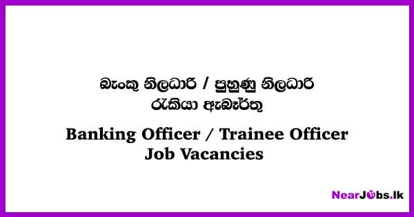 Officer Trainee Officer Jobs Vallibel Finance Vacancies In Colombo