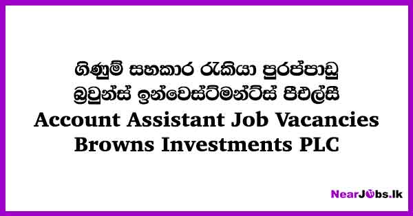 Account Assistant Job Vacancies 2025 - Browns Investments PLC