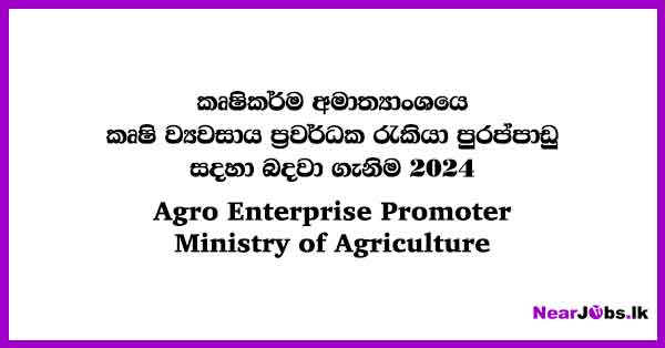 Agro Enterprise Promoter - Ministry of Agriculture Job Vacancies 2024