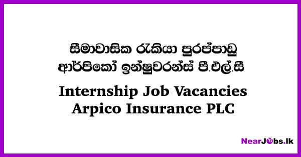 Arpico Insurance Internship Job Vacancies 2025 - Nearjobs.lk