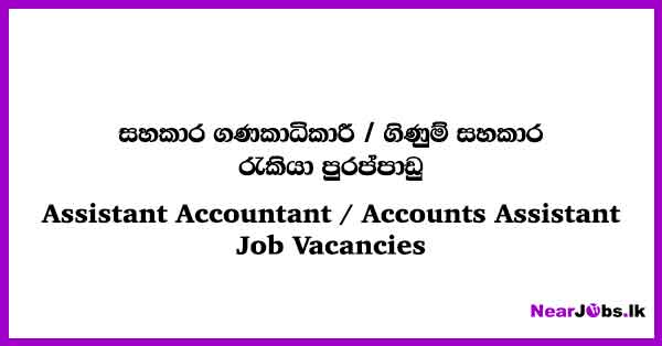 Accountant Job Vacancies in Hokandara 2024 - Randenigala Group of Company