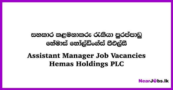 Assistant Manager Job Vacancies 2024 - Hemas Holdings PLC