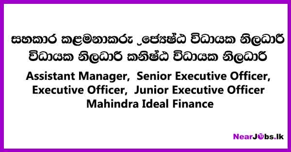 Assistant Manager, Senior Executive Officer, Executive Officer ...