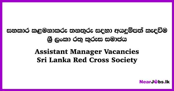 Assistant Manager - Sri Lanka Red Cross Society Job Vacancies 2024
