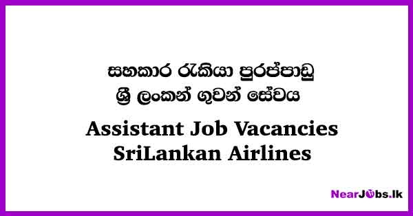Assistant in SriLankan Airlines Job Vacancies 2025 - Nearjobs.lk