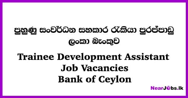 BOC Bank Trainee Development Assistant Job Vacancies 2025 - Nearjobs.lk