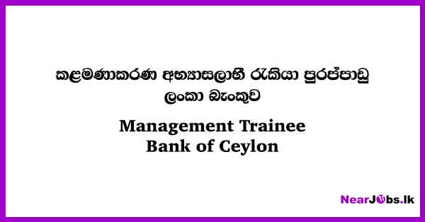 Bank of Ceylon Management Trainee Job Vacancies 2024 - www.boc.lk