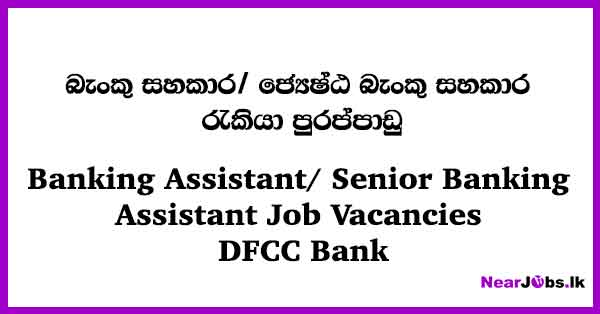 Banking Assistant Job Vacancies 2025 DFCC Bank - Nearjobs.lk