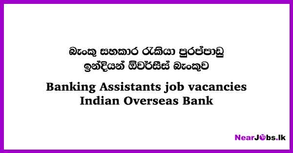 Banking Assistants Job vacancies in Colombo 2024 - Indian Overseas Bank ...