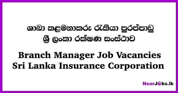 Branch Manager Job Vacancies 2025 - SLIC - Nearjobs.lk