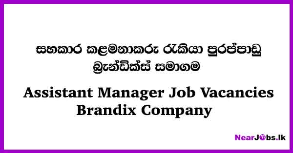 Brandix Company Assistant Manager Job Vacancies 2025 - Nearjobs.lk