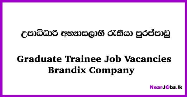 Brandix Graduate Trainee Job Vacancies 2025 - Nearjobs.lk