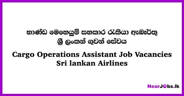 Cargo Operations Assistant Job Vacancies in Chennai - Sri lankan Airlines Careers 2025