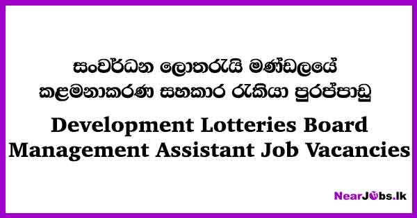 DLB Management Assistant Job Vacancies 2025 - Nearjobs.lk