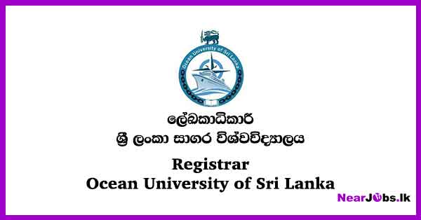 Ocean University Registrar Job Vacancies 2024
