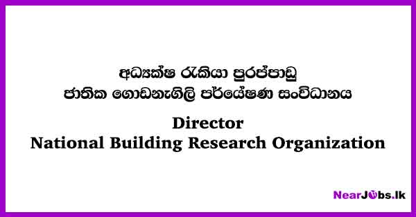 Director - National Building Research Organization Job Vacancies 2024 ...
