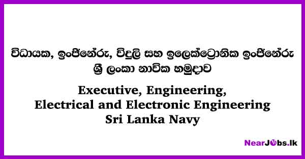Executive, Engineering, Electrical and Electronic Engineering - Sri ...
