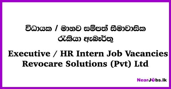 Executive / HR Intern Job Vacancies 2025 - Revocare Solutions (Pvt) Ltd ...