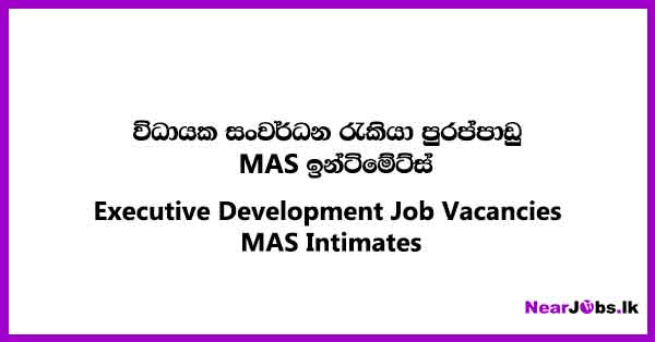 Executive Development Job Vacancies 2023 - MAS Intimates - Nearjobs.lk