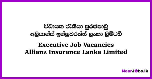Finance Reporting Executive Vacancies - Allianz Insurance Lanka Limited ...