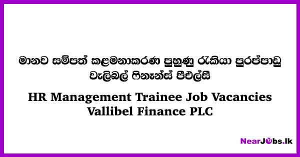 Hr Management Trainee Job Vacancies In Colombo 3 Vallibel Finance Plc