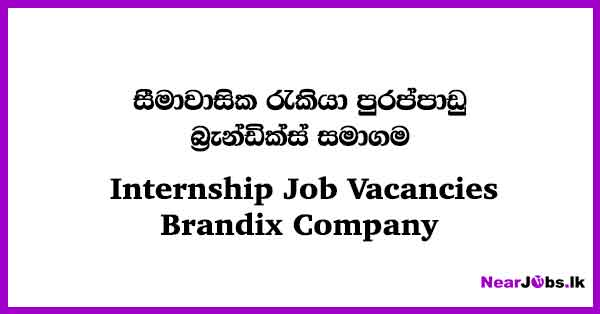 Brandix Company Intern Job Vacancies 2025 - Nearjobs.lk