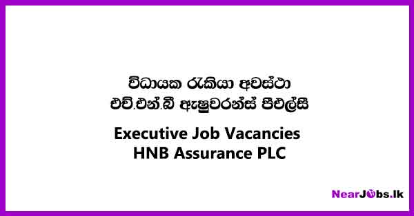 Junior Executive - HNB General Insurance Job Vacancies 2025