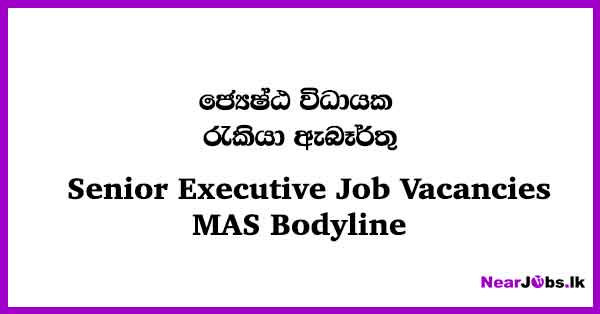 MAS Bodyline Job Vacancies Senior Executive 2025 - Nearjobs.lk