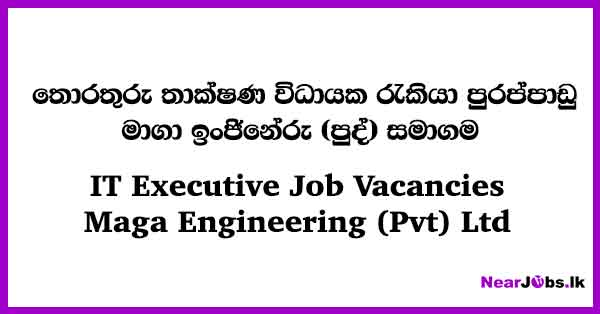 Maga Engineering IT Executive Job Vacancies 2025 - Nearjobs.lk
