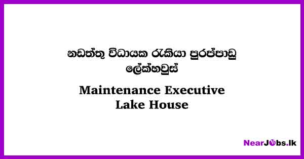 Maintenance Executive Job Vacancies in Maradana - Lake House Jobs 2024