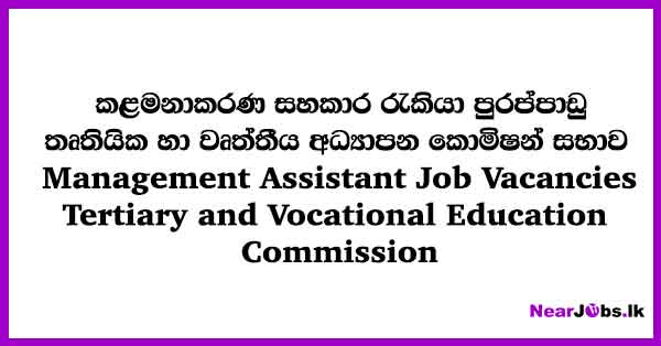 Management Assistant Job Vacancies 2025 - Tertiary and Vocational ...