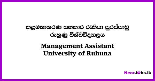 Management Assistant - University of Ruhuna Job Vacancies 2025