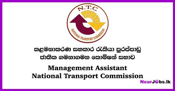Management Assistant - National Transport Commission Job Vacancies 2024