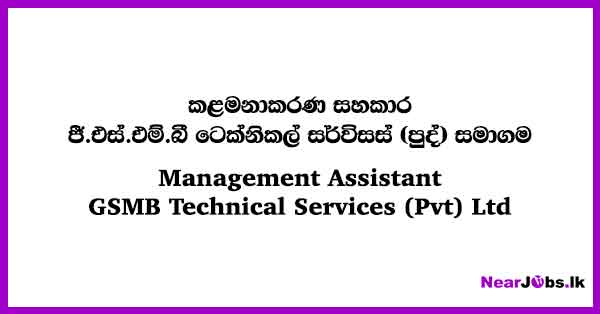 Management Trainee - GSMB Technical Services Job Vacancies 2024