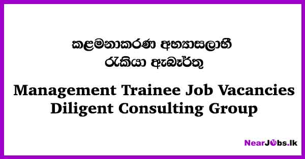 Management Trainee Job Vacancies 2025 - Diligent Consulting Group - Nearjobs.lk