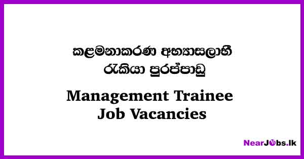 Management Trainee Job Vacancies 2025 - Rainbows Holdings - Nearjobs.lk