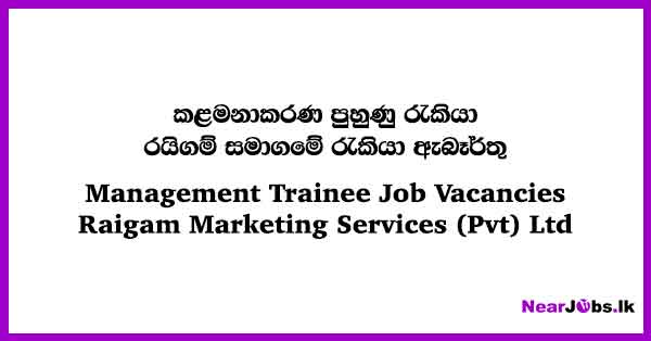 Management Trainee Job Vacancies Raigam Jobs 2024