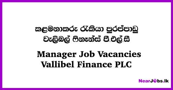 Manager Job Vacancies 2025 Vallibel Finance Plc Nearjobs Lk