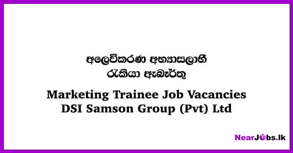 Marketing Internship Job Vacancies in Galle - DSI Jobs 2024