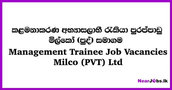 Milco (PVT) Ltd Management Trainee Job Vacancies 2025 - Nearjobs.lk
