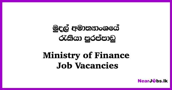 Ministry of Finance Job Vacancies 2025 - Nearjobs.lk