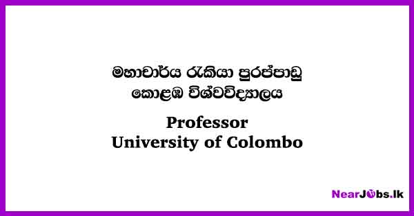 Professor - Colombo University Job Vacancies 2024
