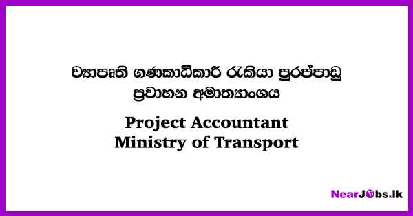 Project Accountant Vacancies - Ministry of Transport Jobs 2024