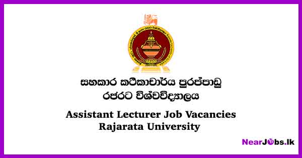 Rajarata University Temporary Assistant Lecturer Job Vacancies 2024