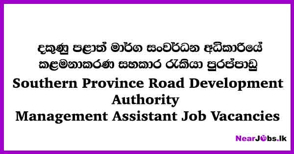Road Development Authority Management Assistant Job Vacancies 2025 ...