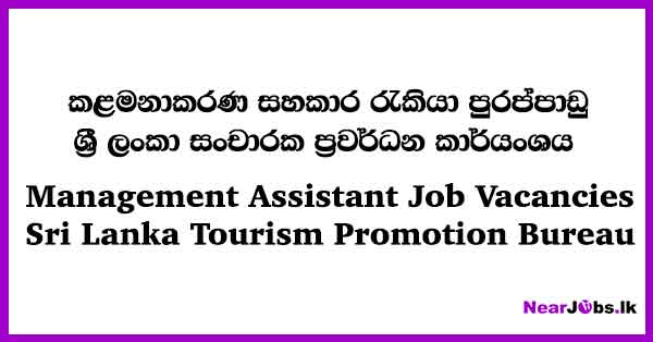 SLTPB Management Assistant Job Vacancies 2025 - Nearjobs.lk