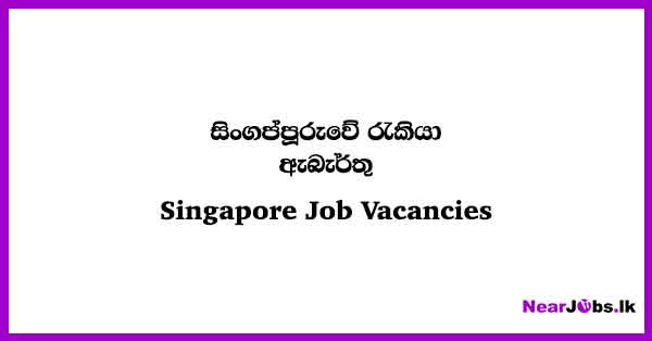 Account Administrative Officer Job Vacancies in Singapore 2024 ...
