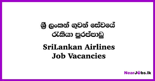 Sri Lankan Airlines Technician Job Vacancies 2025 - Nearjobs.lk