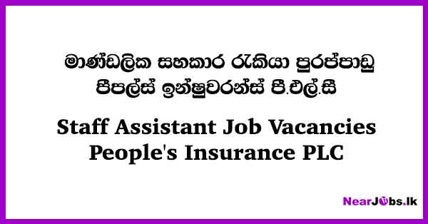 Staff Assistant Job Vacancies 2025 - People's Insurance PLC - Nearjobs.lk